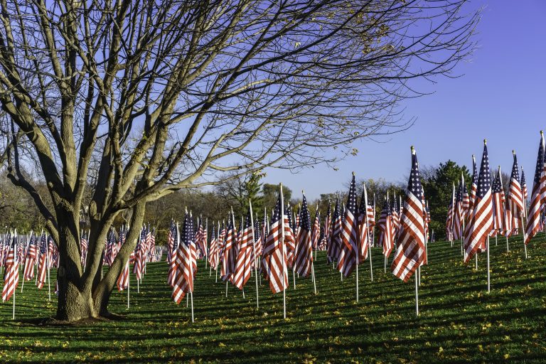 FLO Department of Veterans Affairs Header | FLO